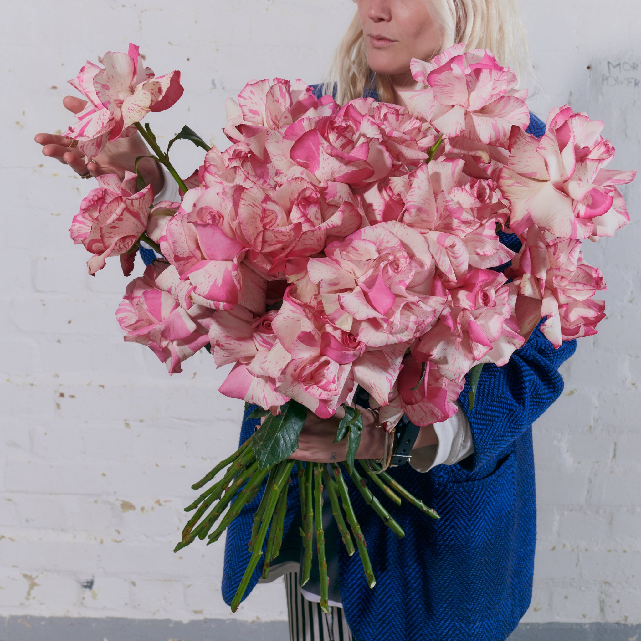 Magic Times Roses | Flower Delivery | Wild at Heart