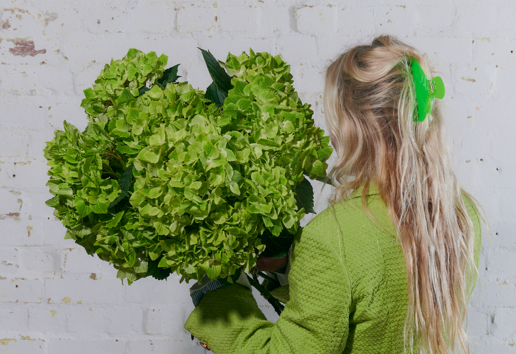 The Language of Hydrangeas | Boutique Florist Wild at Heart | Wild at Heart