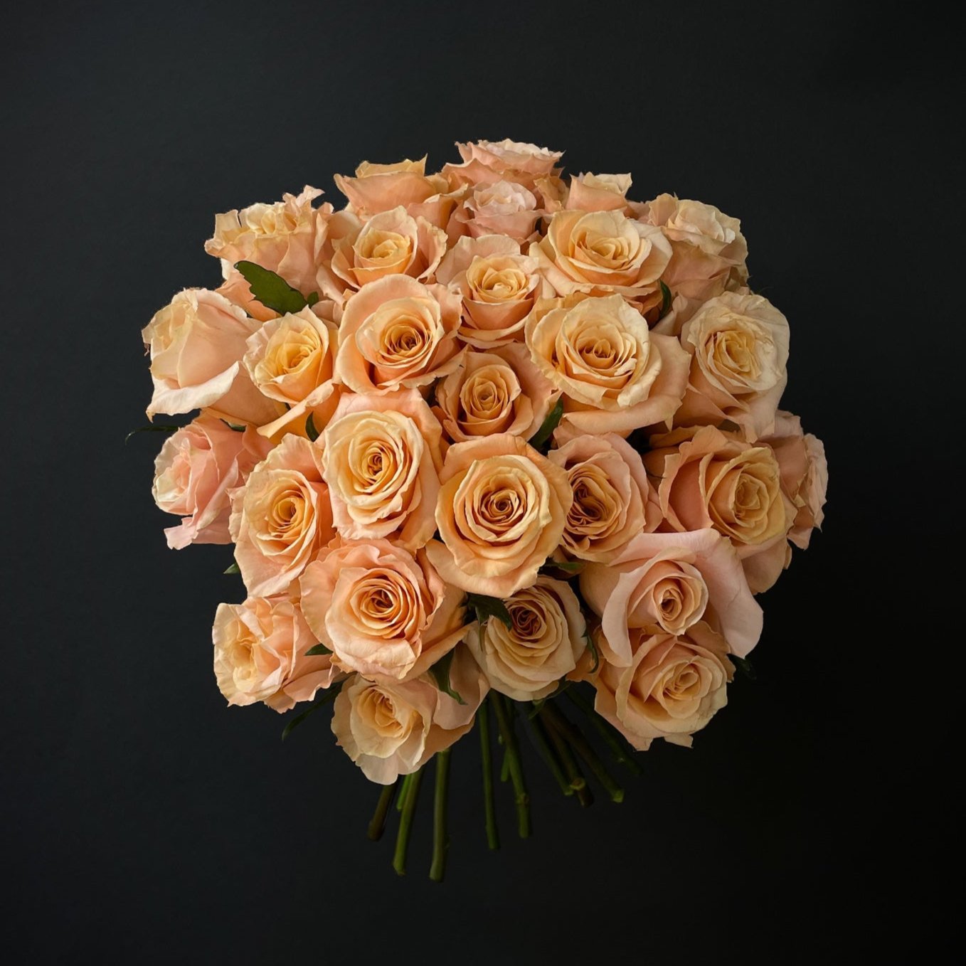 Shimmer Rose | Flower Delivery | Luxury Bouquets | Wild at Heart