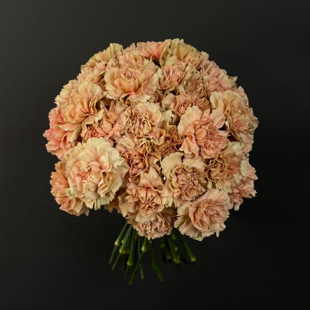 Dahlia Collection | Send Flowers | Luxury Bouquets