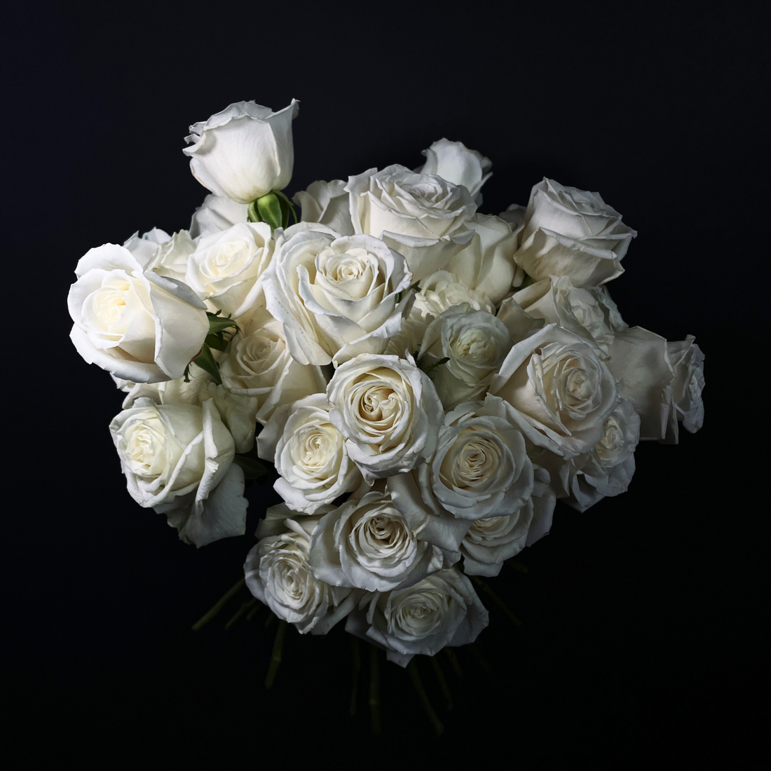 White Rose Bouquet | Flower Delivery | Luxury Bouquets | Wild at Heart